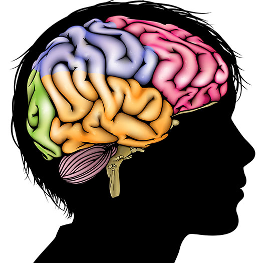 The Teen Brain 6 Things To Know 5a15f1bbcf78f - Child Nexus - Blog